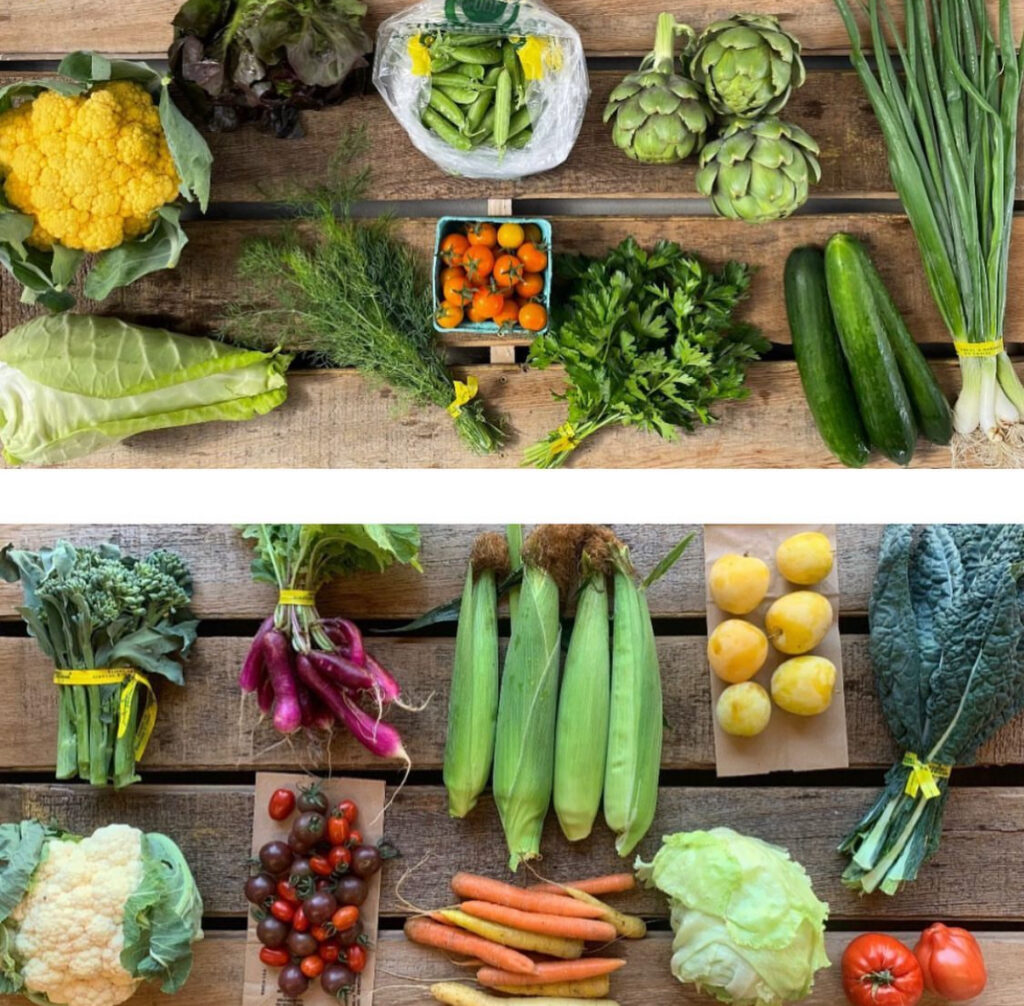 Spring Time Farm - Eat Local First