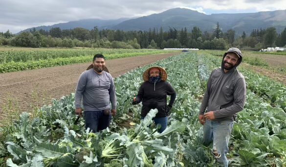 Spring Time Farm - Eat Local First