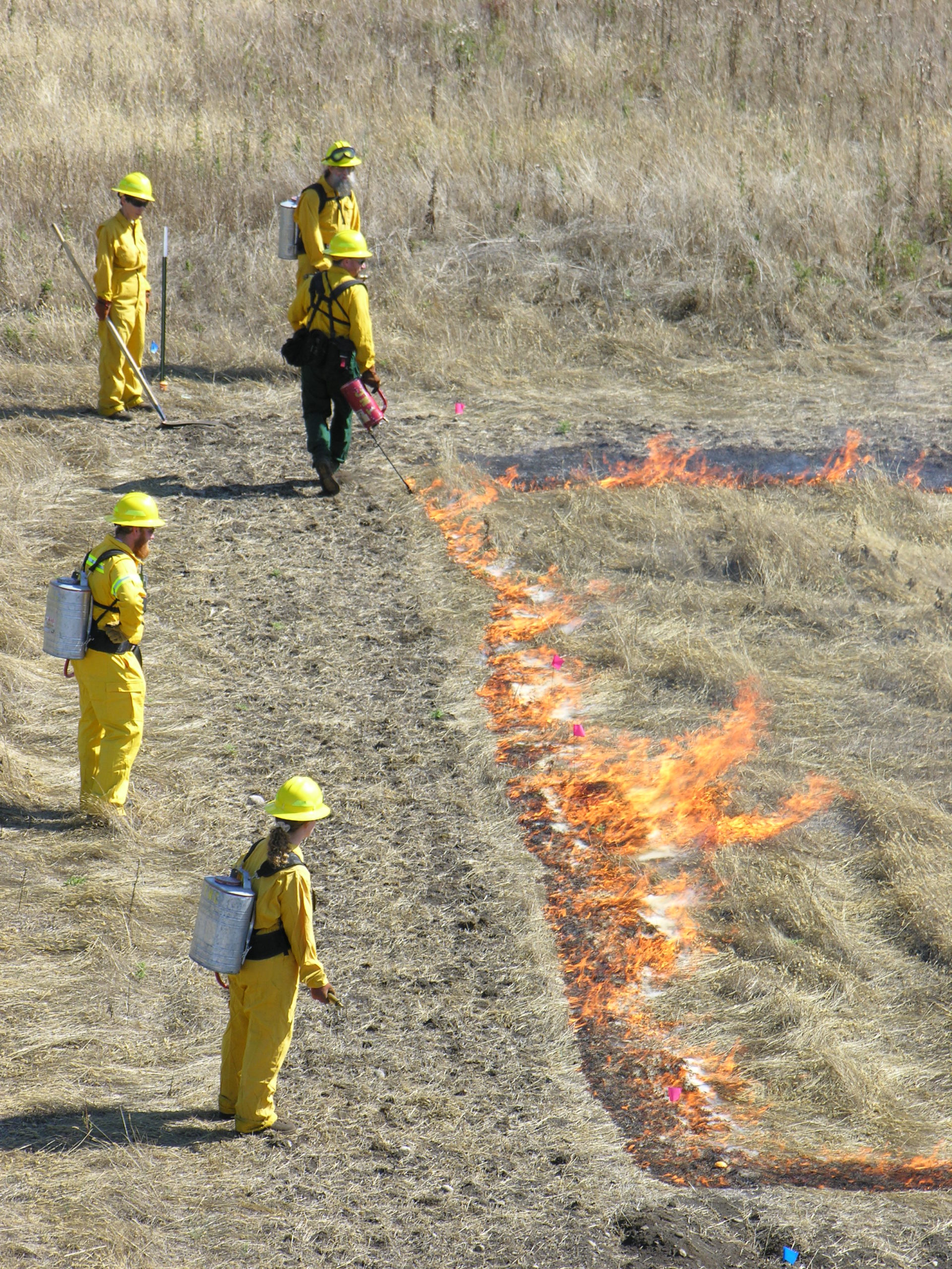 Pacific Rim Institute - Eat Local First