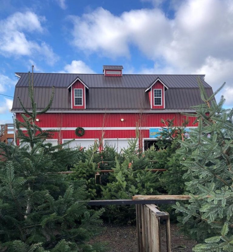 Stocker Farms - Eat Local First