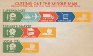 CSA Tips | Community Supported Agriculture | CSA Program