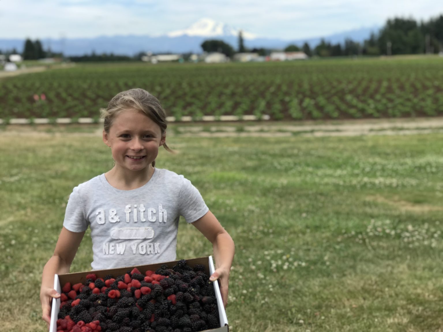 U Pick Farms | Pick & Eat | U Pick Farms Washington