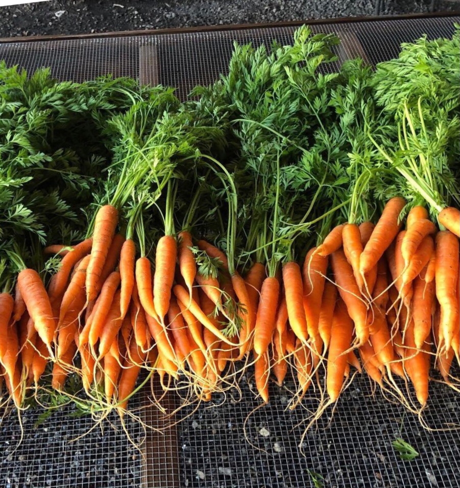 Root & Rabbit Farm - Eat Local First