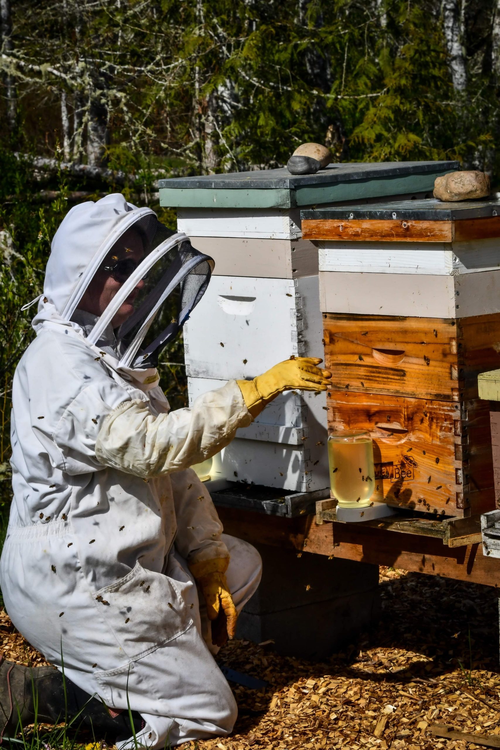 Apex Apiary - Eat Local First