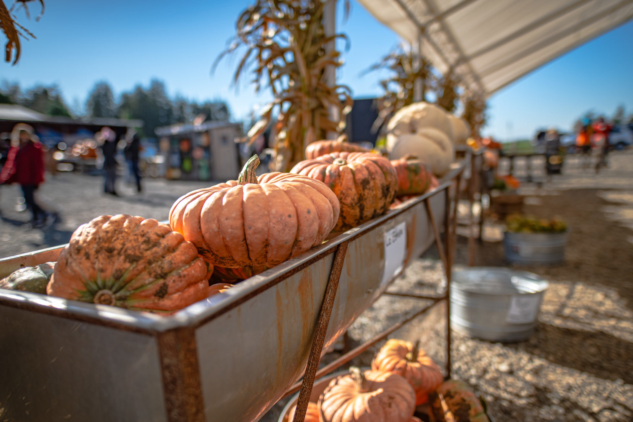 Eat Local First - Find Local Food in WA State - Eat Local First