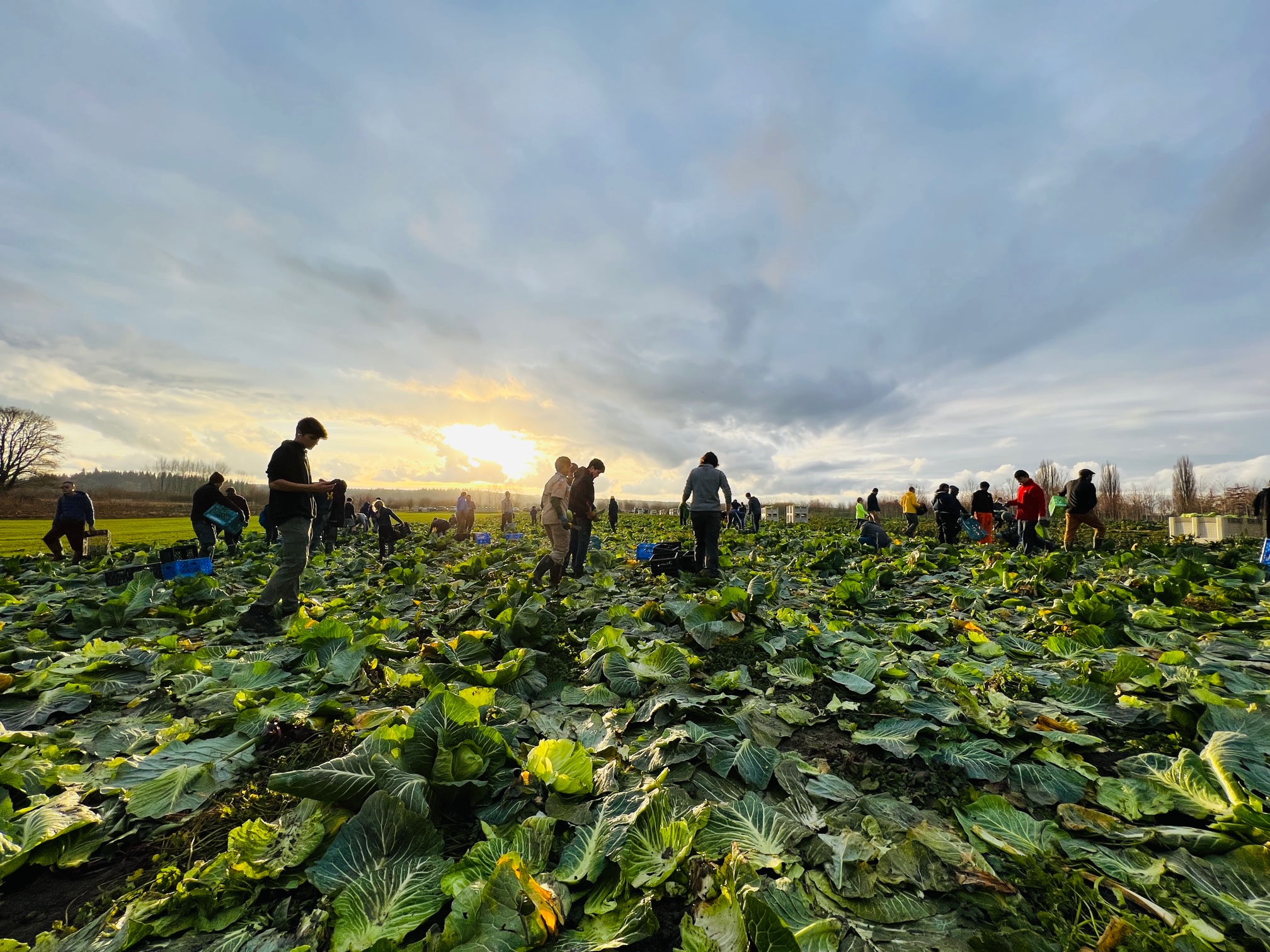 Food Bank Farm - Eat Local First