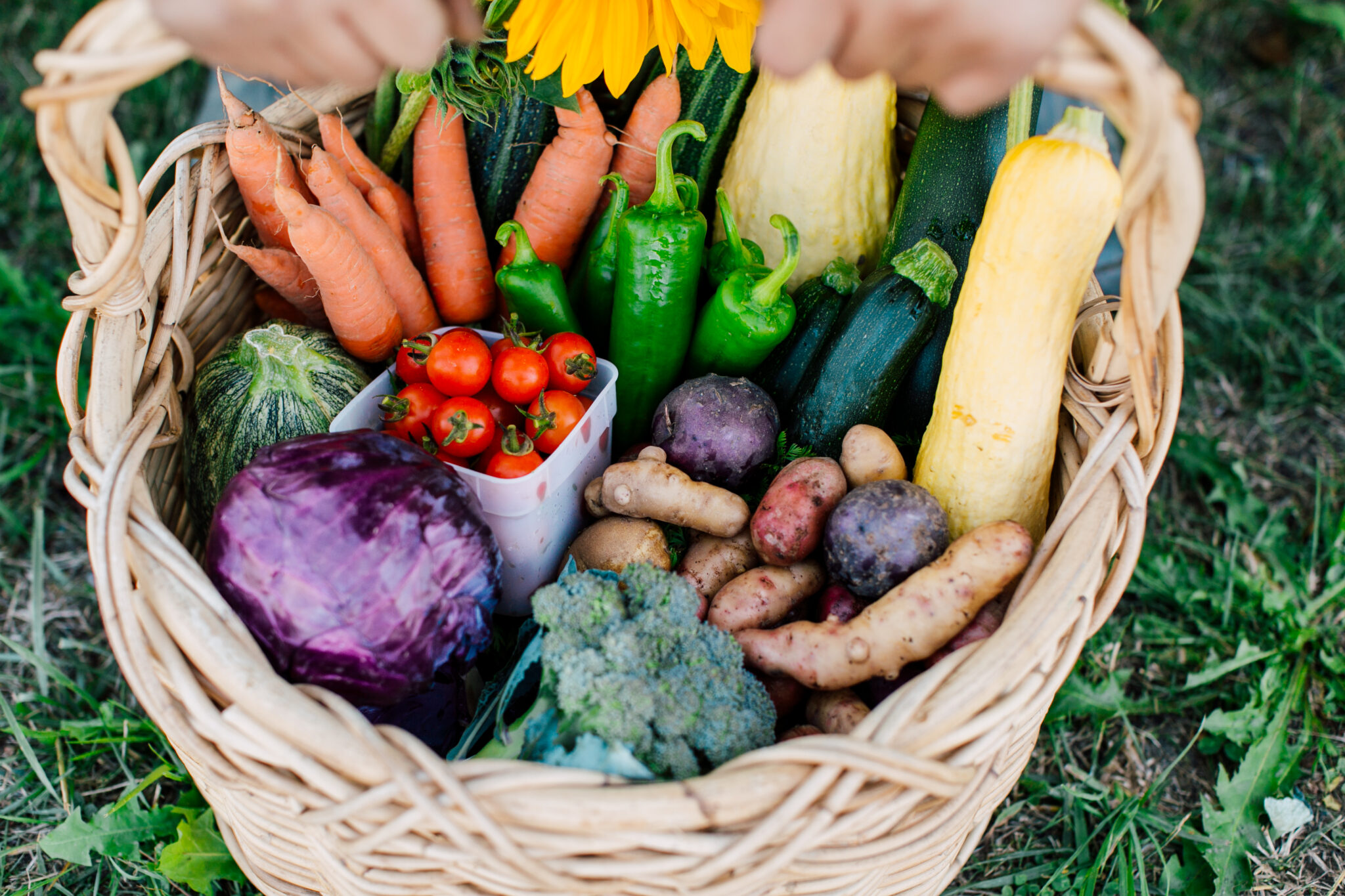 Eat Local | Washington State Food | Support Local Farmers