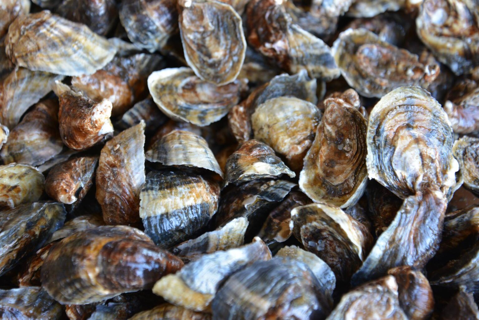 Washington Food Trails | Farm to Table Adventures