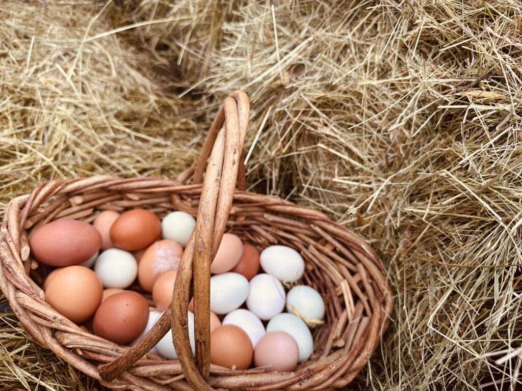 Quarter Circle 2C Ranch - Eat Local First