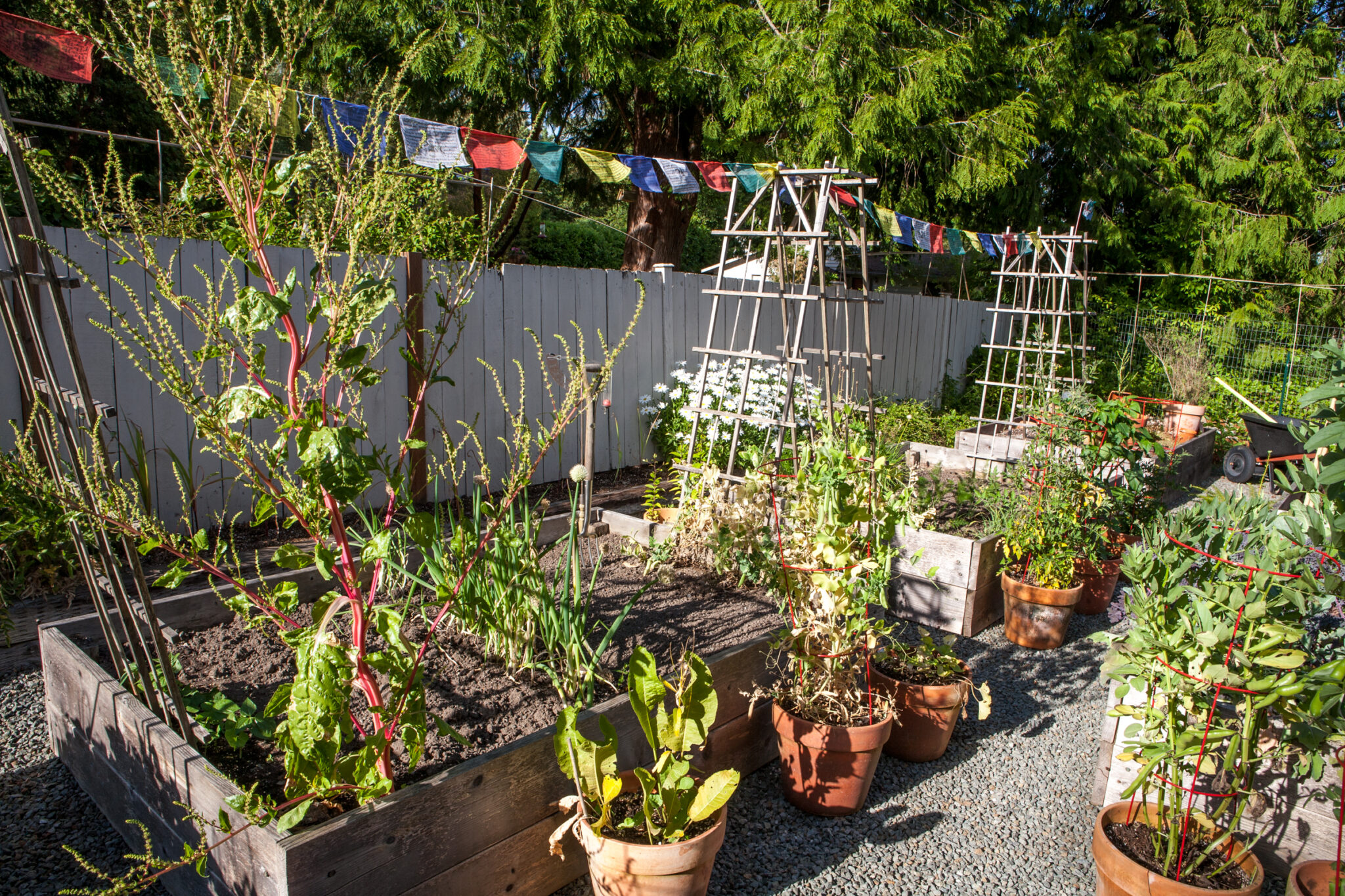 Eat Local | Washington State Food | Support Local Farmers