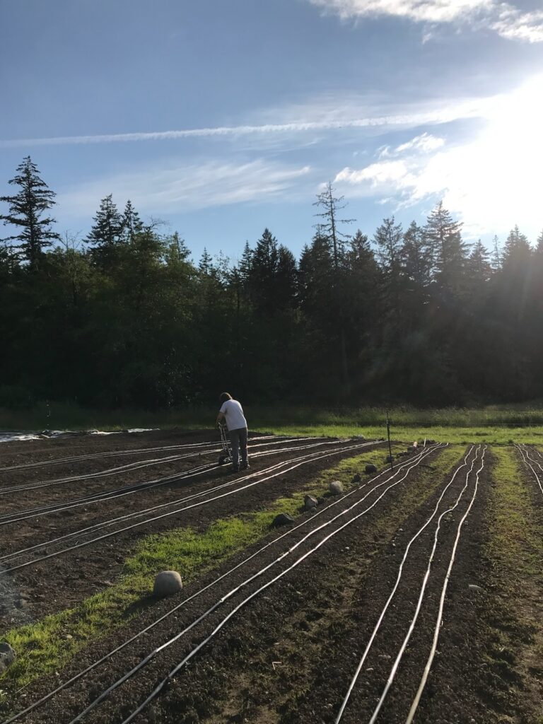 Cedar Slope Farm - Eat Local First